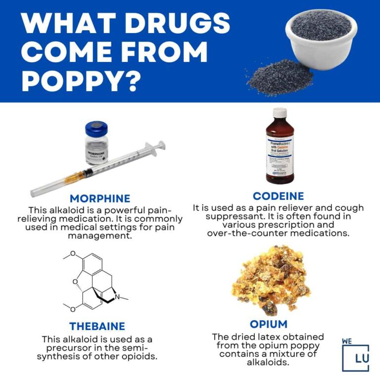 Is There a Poppy Seed Drug Test? Can It Affect Drug Tests?