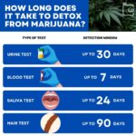 Marijuana Detox | We Level Up Texas